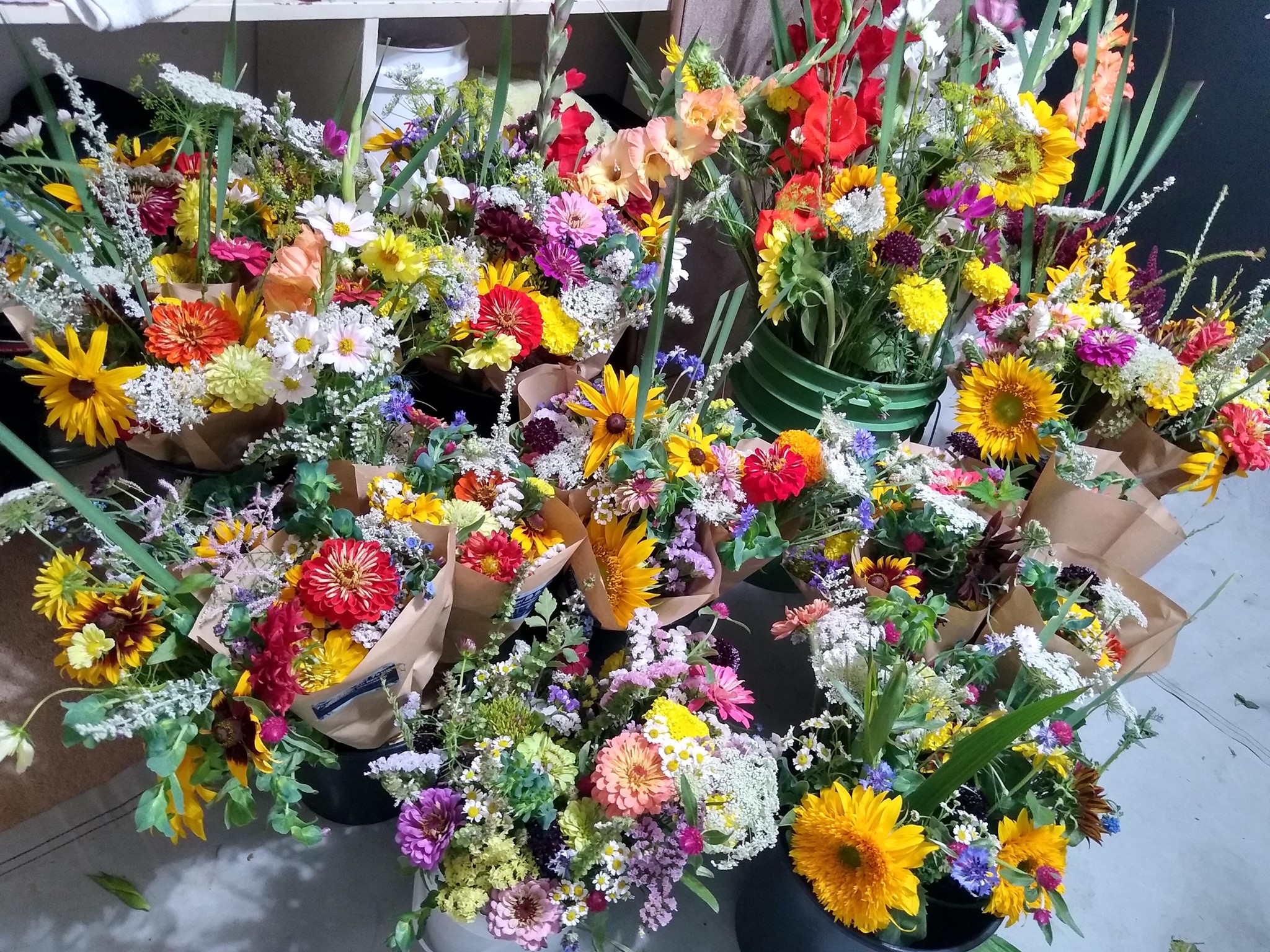 Check Out These Local Colorado Flower Farms - Farm Bureau Insurance